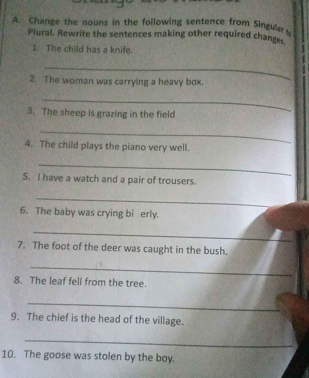 A. Change the nouns in the following | StudyX