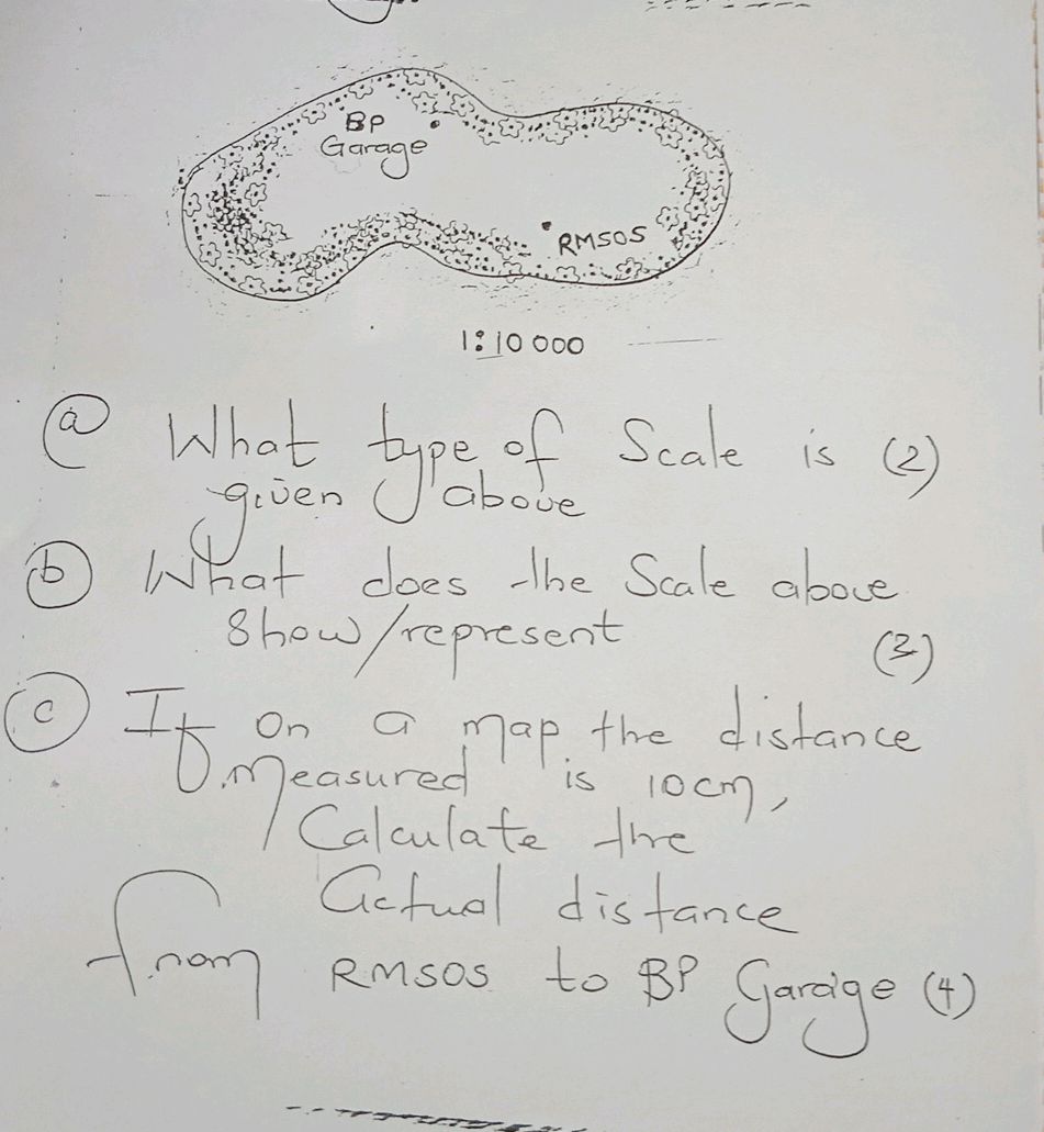 a) What type of Scale is given above? b) | StudyX