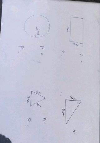 Calculate the perimeter (P) and area (A) for | StudyX