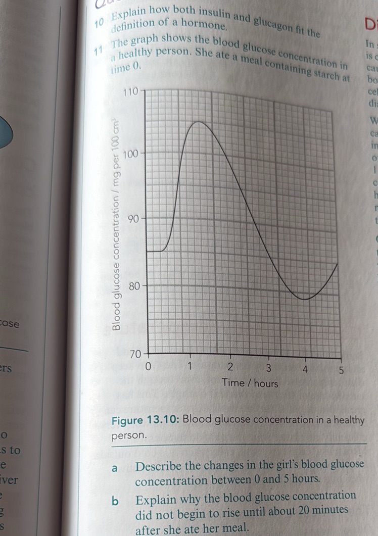 The graph shows the blood glucose