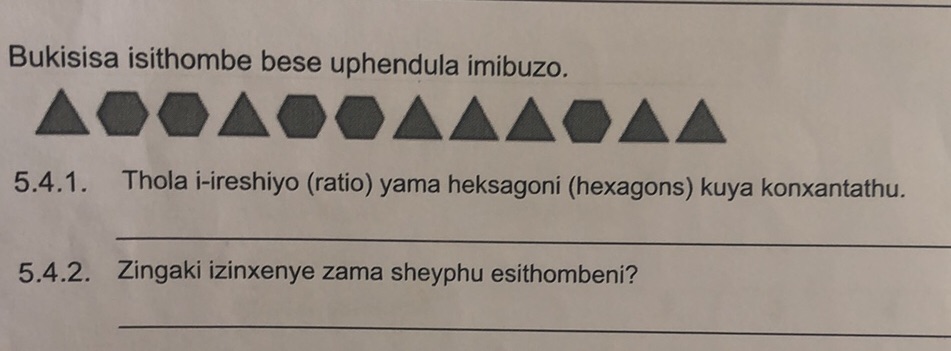 Bukisisa isithombe bese uphendula imibuzo. | StudyX