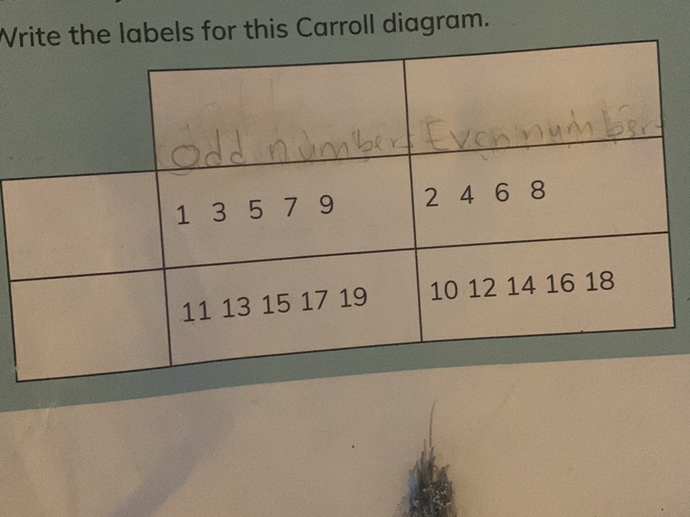 Write the labels for this Carroll diagram. | StudyX