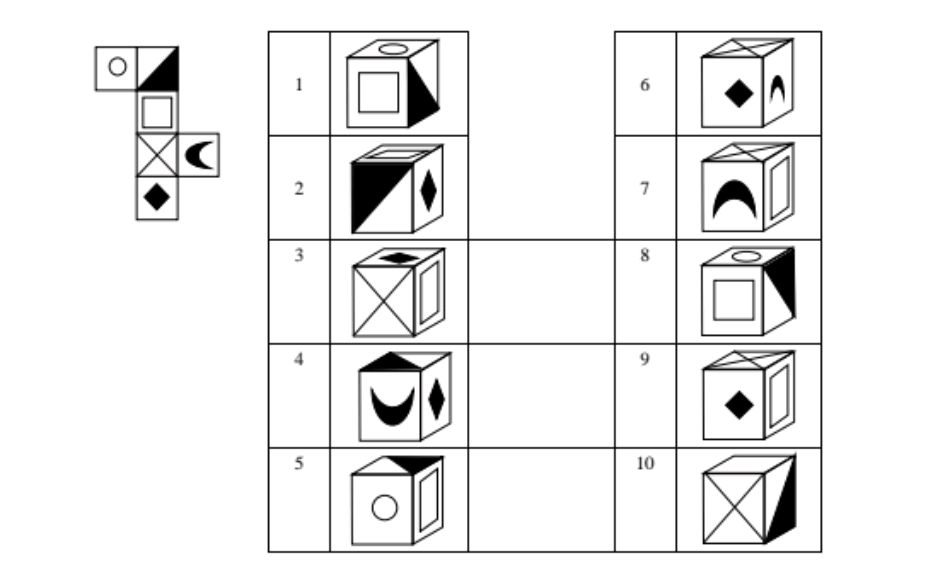 Identify the cube that can be formed by | StudyX