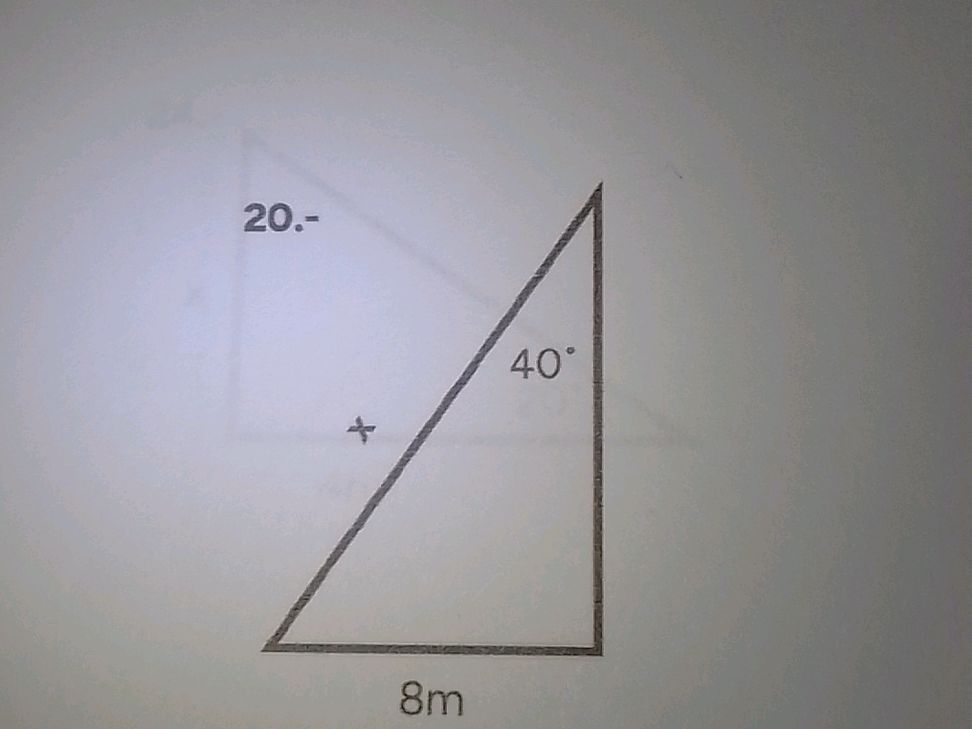20. Diagram of a right triangle with one | StudyX