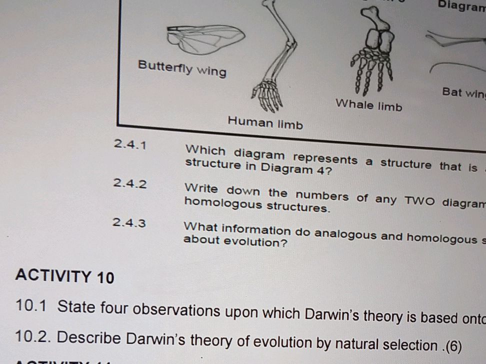 2.4.1 Which diagram represents a structure | StudyX