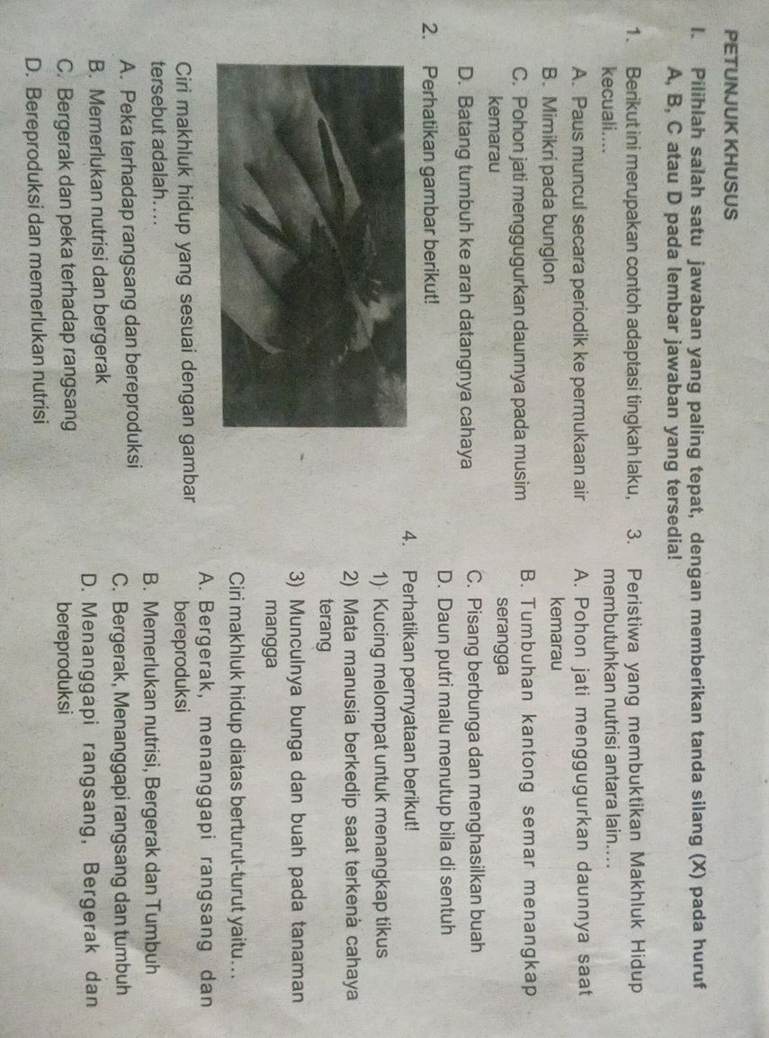 1. Berikut ini merupakan contoh adaptasi | StudyX