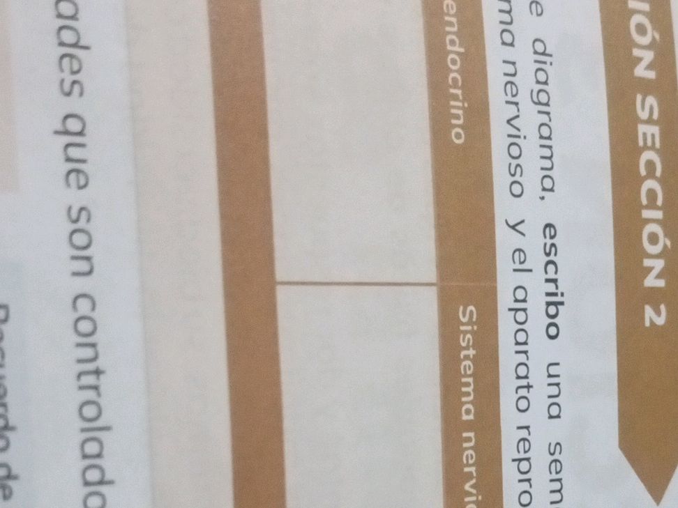 Escribe una sema diagrama, ma nervioso y el | StudyX