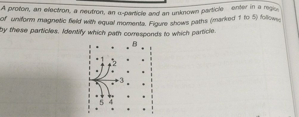 A proton, an electron, a neutron, an | StudyX