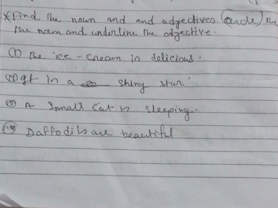 *Find the noun and adjectives (circle) the | StudyX