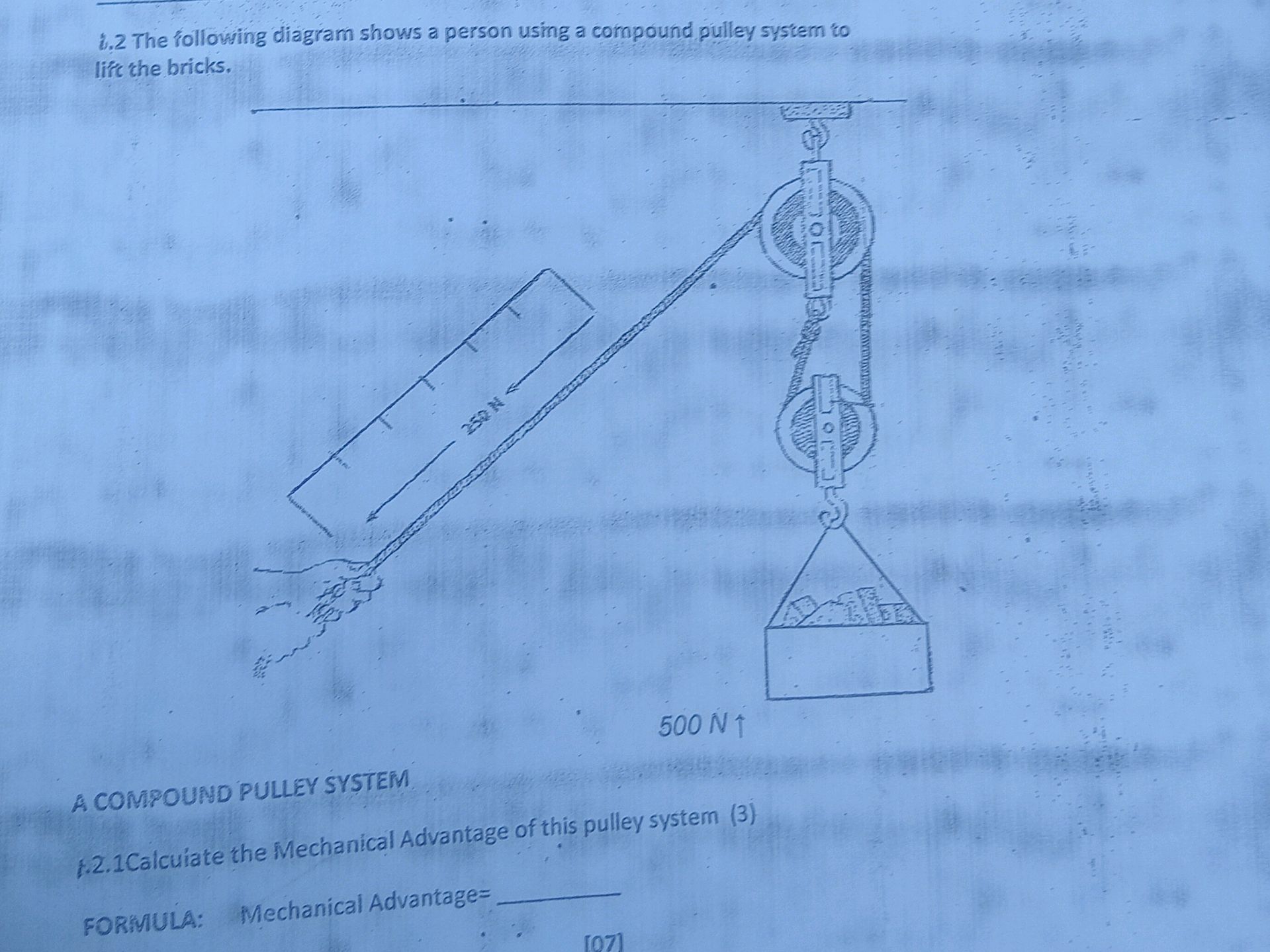 1.2 The following diagram shows a person | StudyX