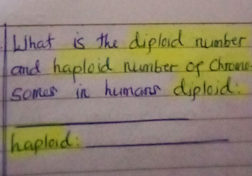 What is the diploid number and haploid | StudyX