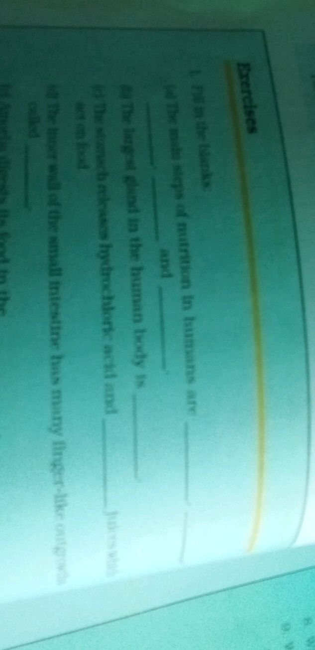 1. Fill in the blanks: ( The main steps of | StudyX