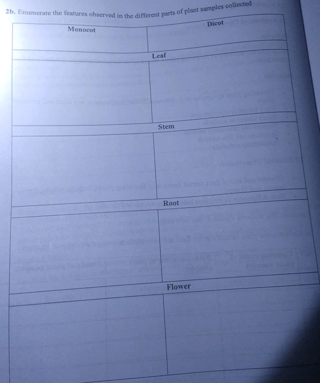 2b. Enumerate the features observed in the | StudyX