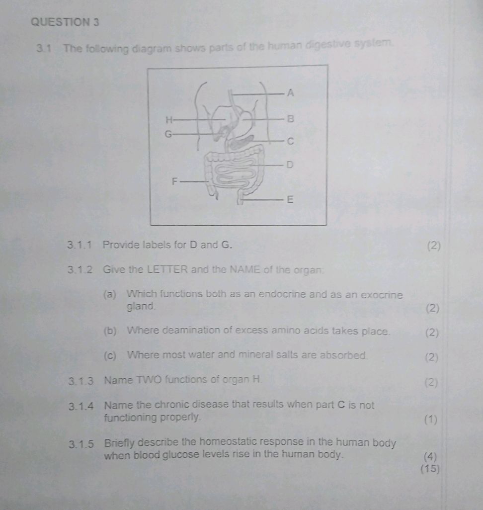 QUESTION 3 3.1 The following diagram shows | StudyX