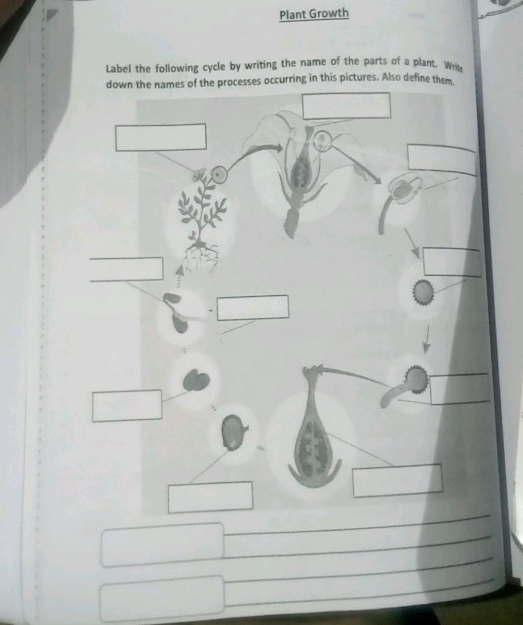 Label the following cycle by writing the | StudyX