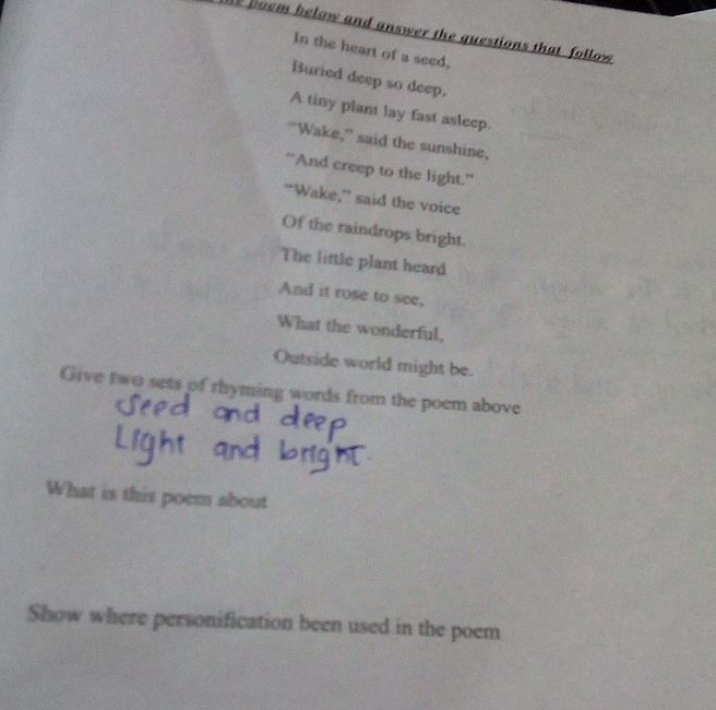 Give two sets of rhyming words from the poem | StudyX