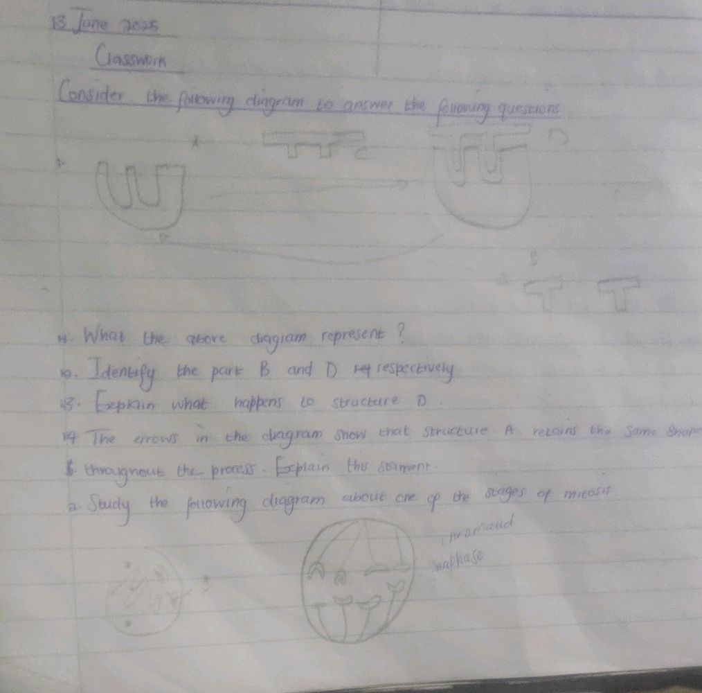 Consider the following diagram to answer the | StudyX