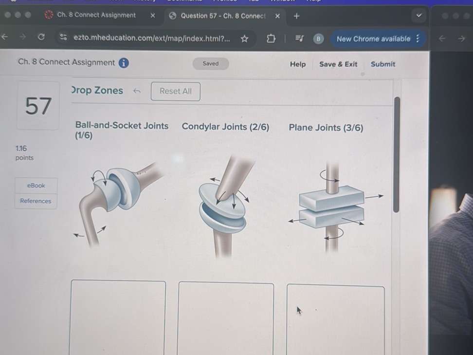 The image shows different types of joints | StudyX