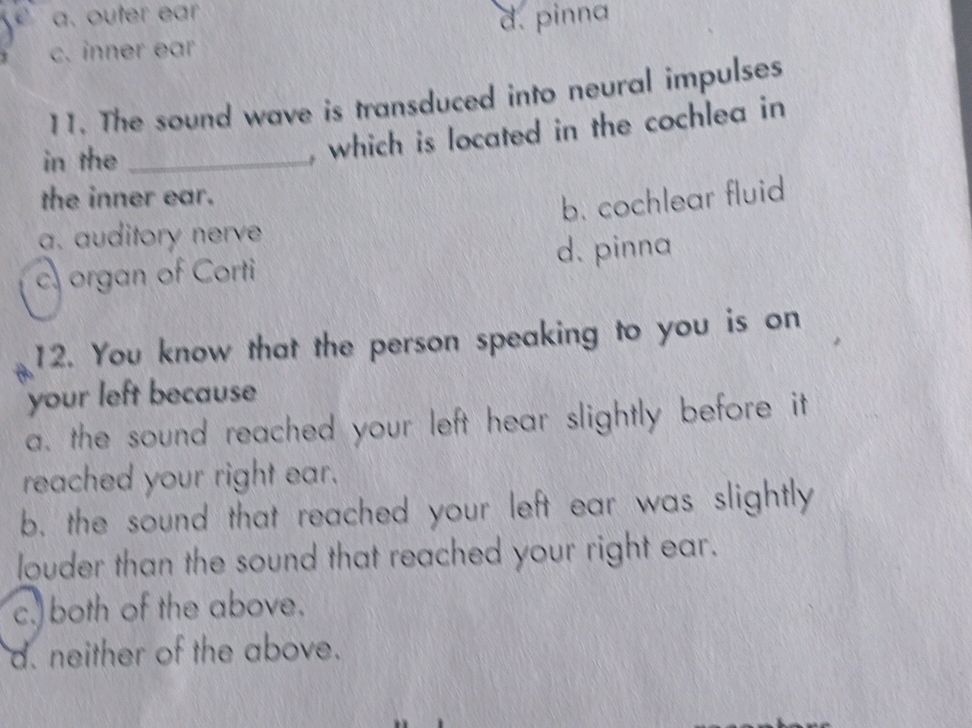 11. The sound wave is transduced into neural | StudyX