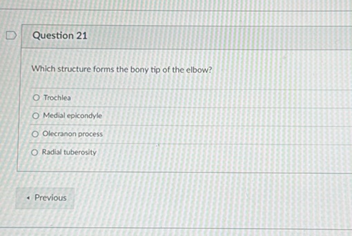 Which structure forms the bony tip of the | StudyX