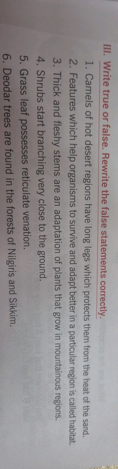 III. Write true or false. Rewrite the false | StudyX