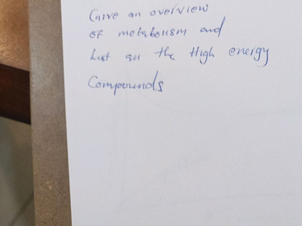 Give an overview of metabolism and list all | StudyX