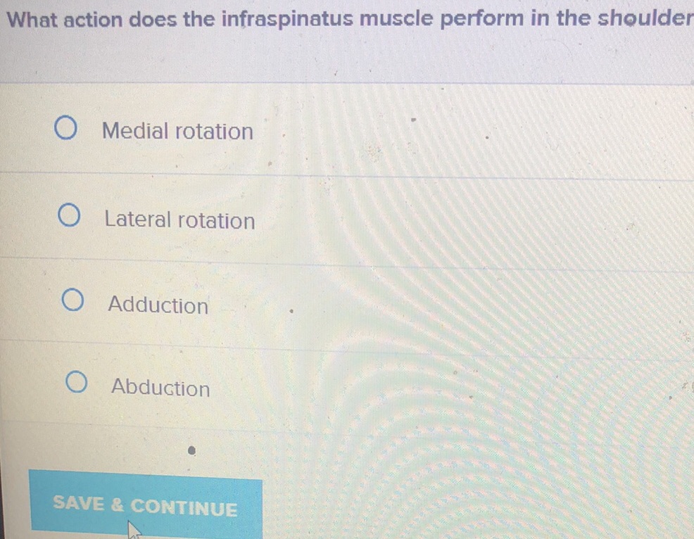 What action does the infraspinatus muscle | StudyX