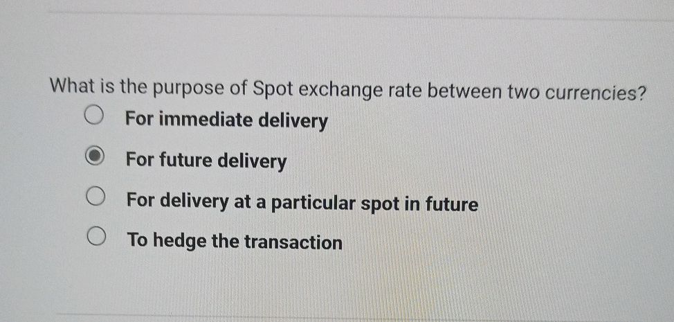 What is the purpose of Spot exchange rate