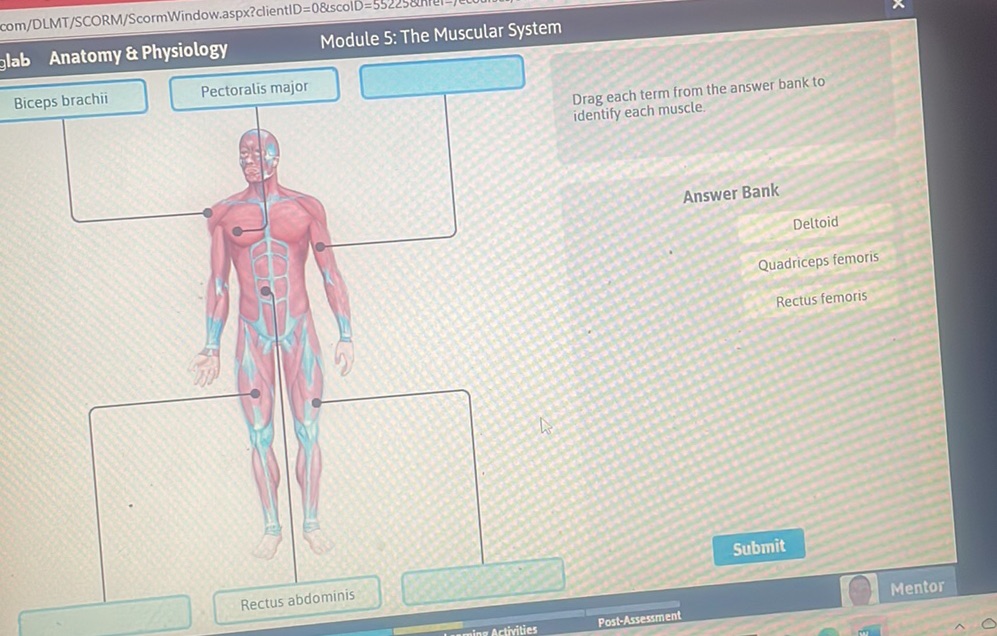 Drag each term from the answer bank to | StudyX