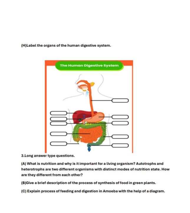 (H) Label the organs of the human digestive | StudyX