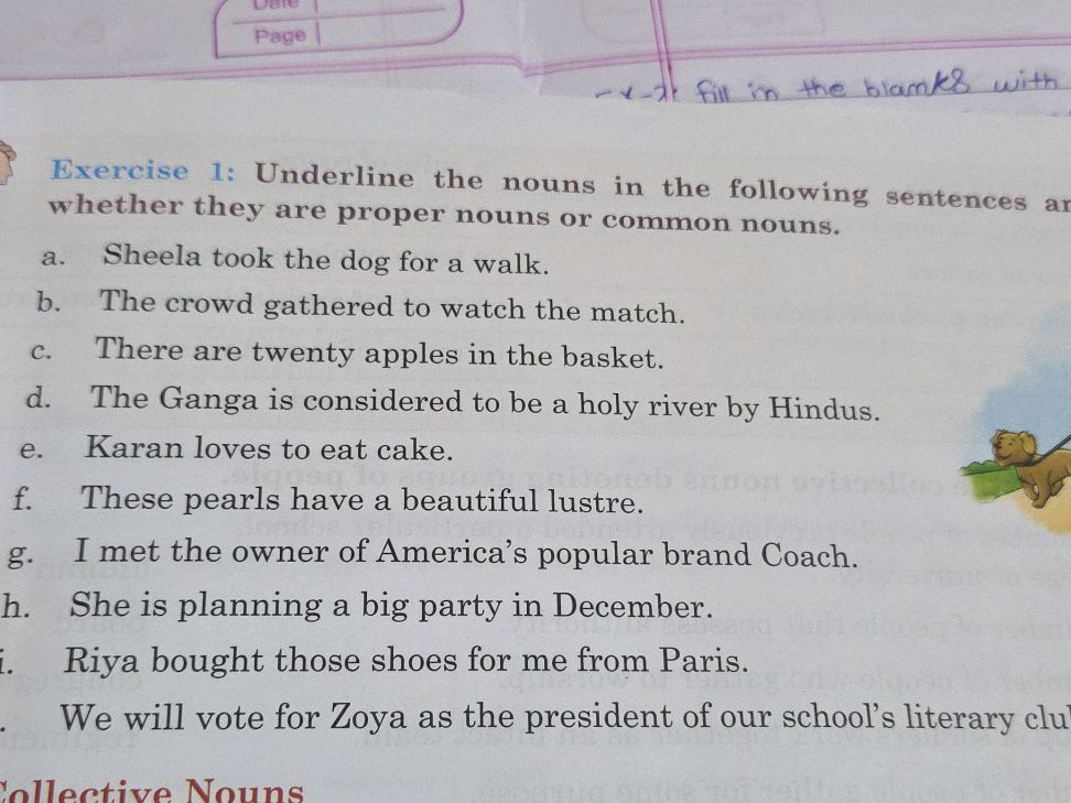 Exercise 1: Underline the nouns in the | StudyX