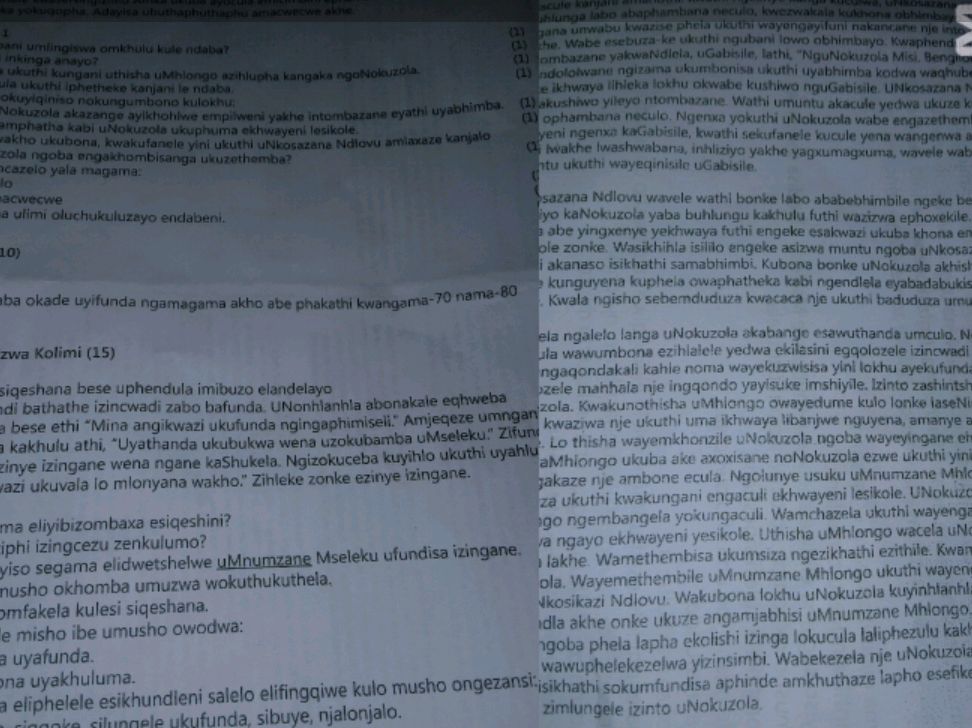 1. Dani umlingiswa omkhulu kule ndaba? 2. | StudyX