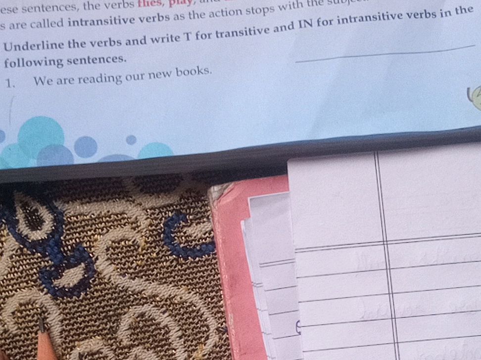 Underline the verbs and write T for | StudyX