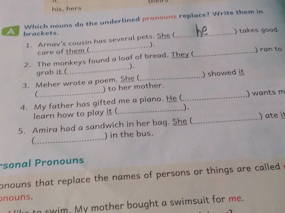 Which nouns do the underlined pronouns | StudyX