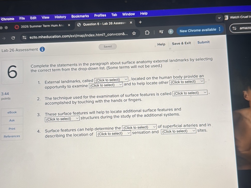 Complete the statements in the paragraph | StudyX