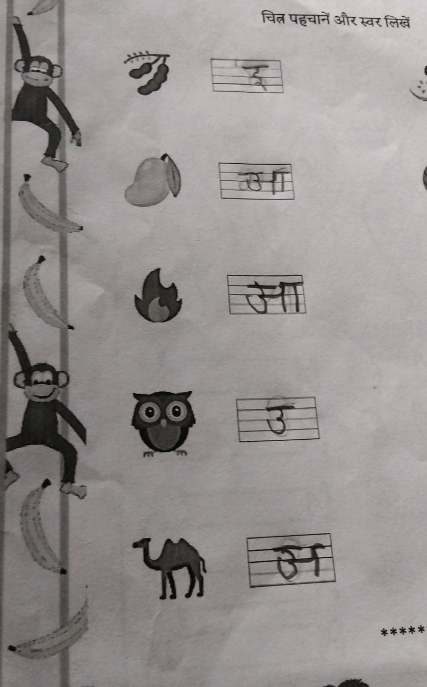 Identify the pictures and write the vowels. | StudyX