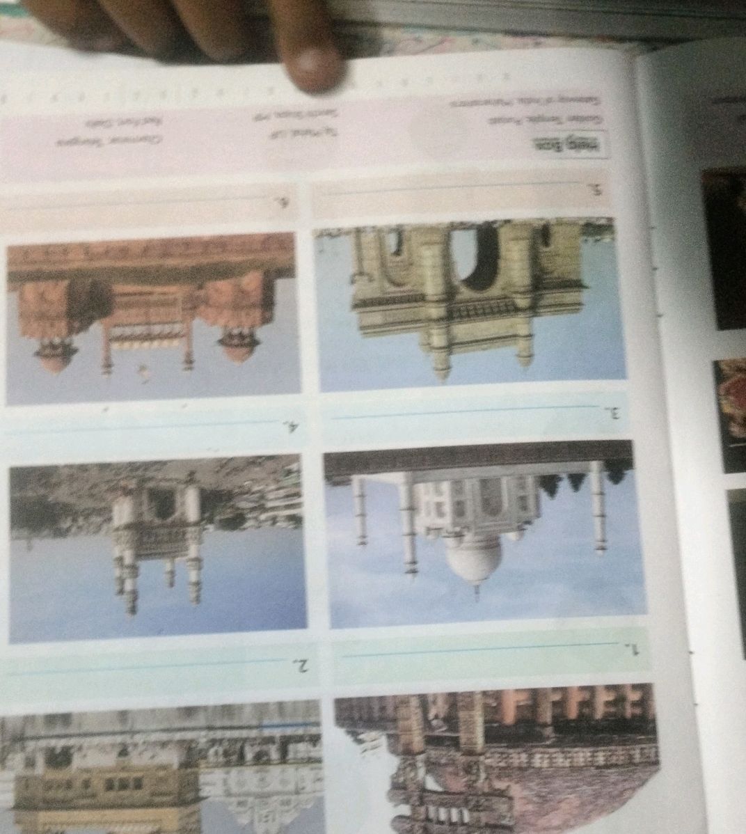 The image shows pictures of different | StudyX