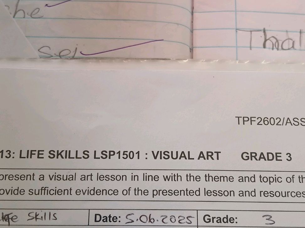 13: LIFE SKILLS LSP1501 : VISUAL ART GRADE 3 | StudyX