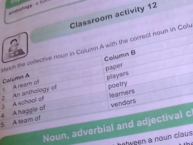 Match the collective noun in Column A with | StudyX