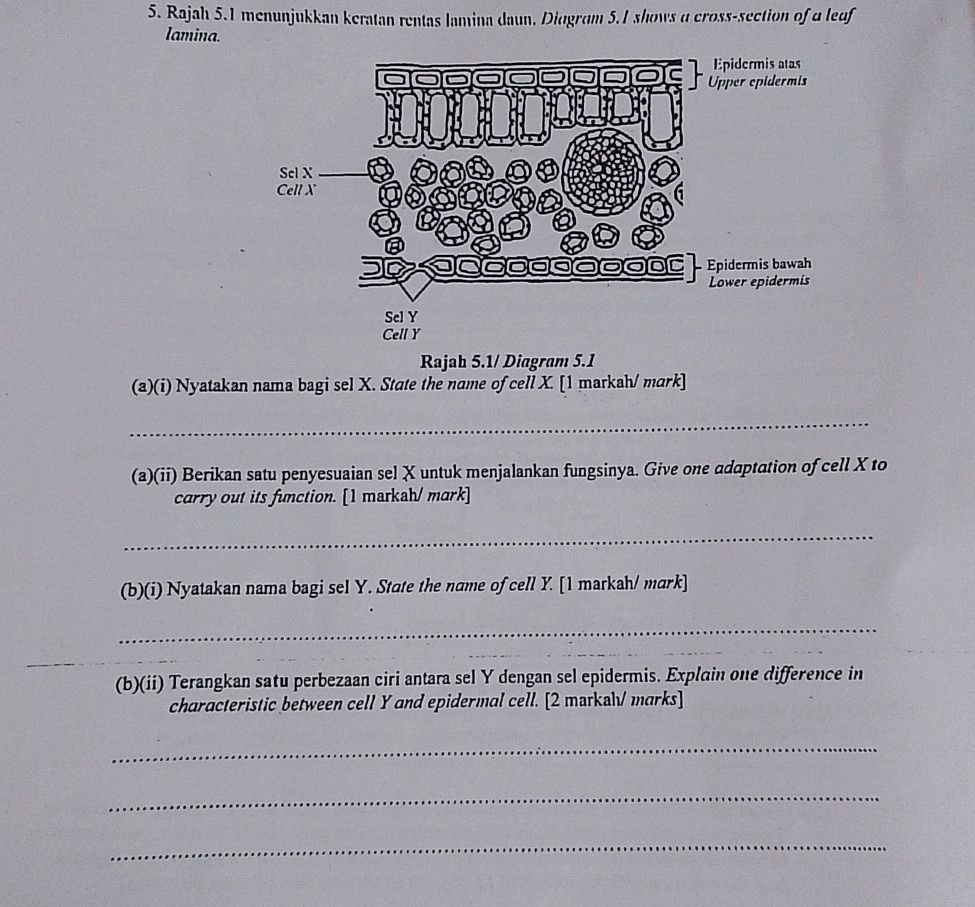 5. Rajah 5.1 menunjukkan keratan rentas | StudyX