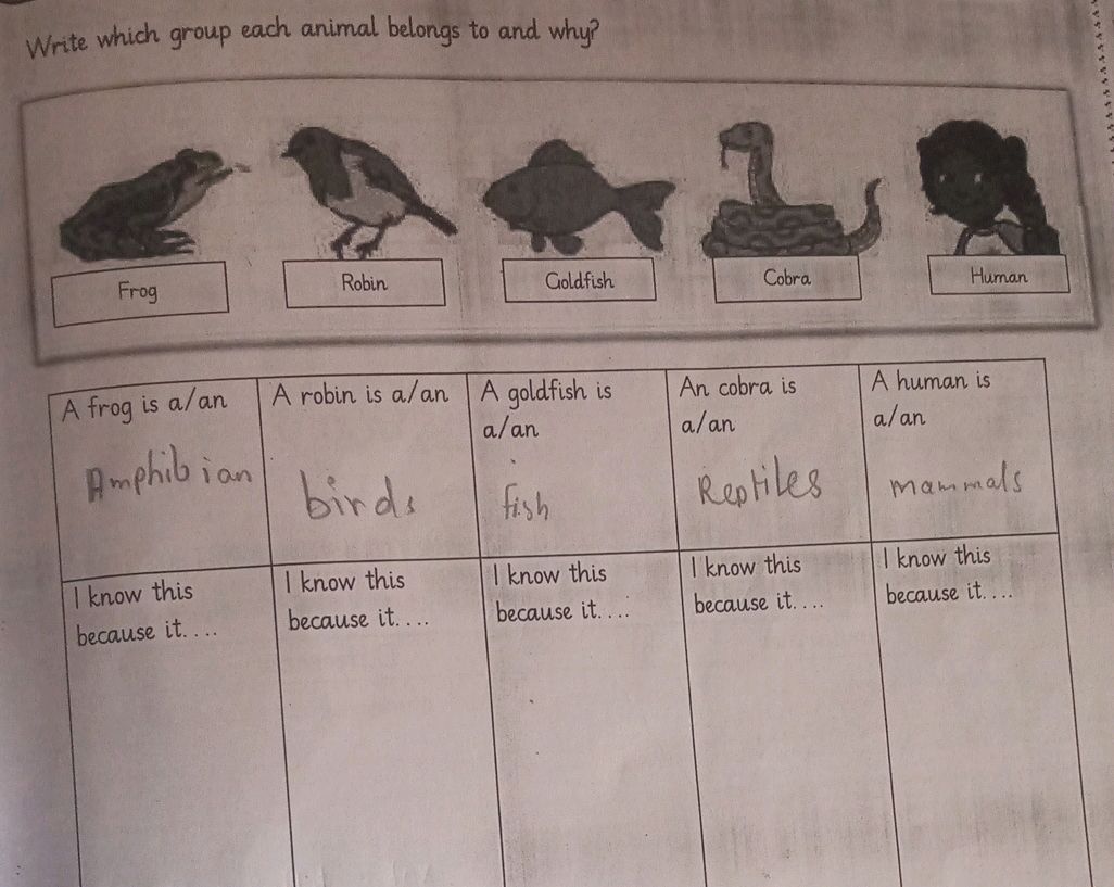 Write which group each animal belongs to and | StudyX