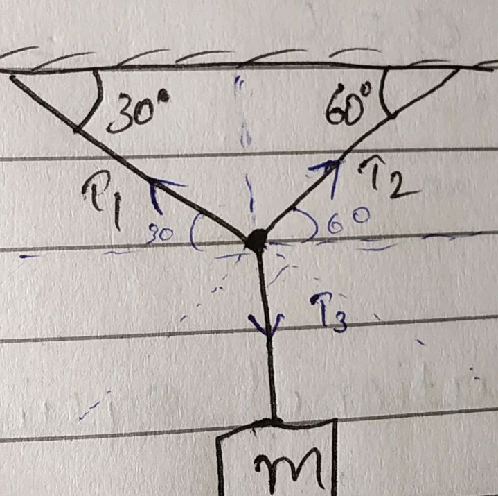 The image depicts a system of ropes and a | StudyX