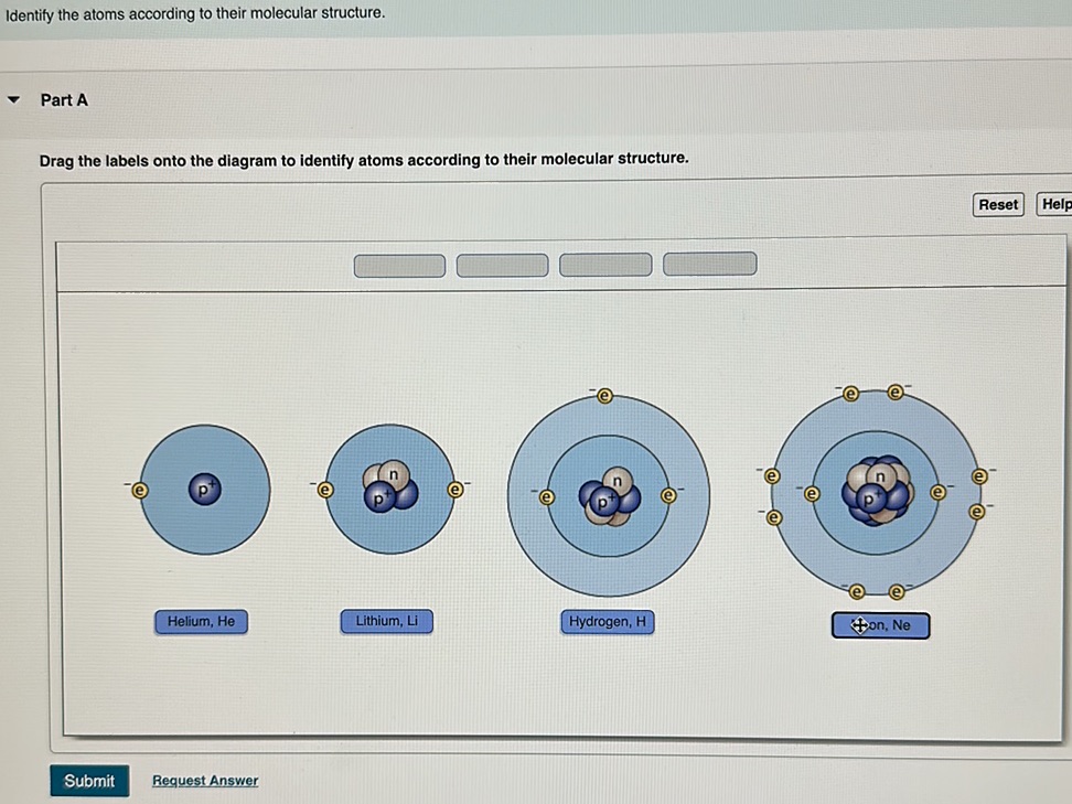 Drag the labels onto the diagram to identify | StudyX