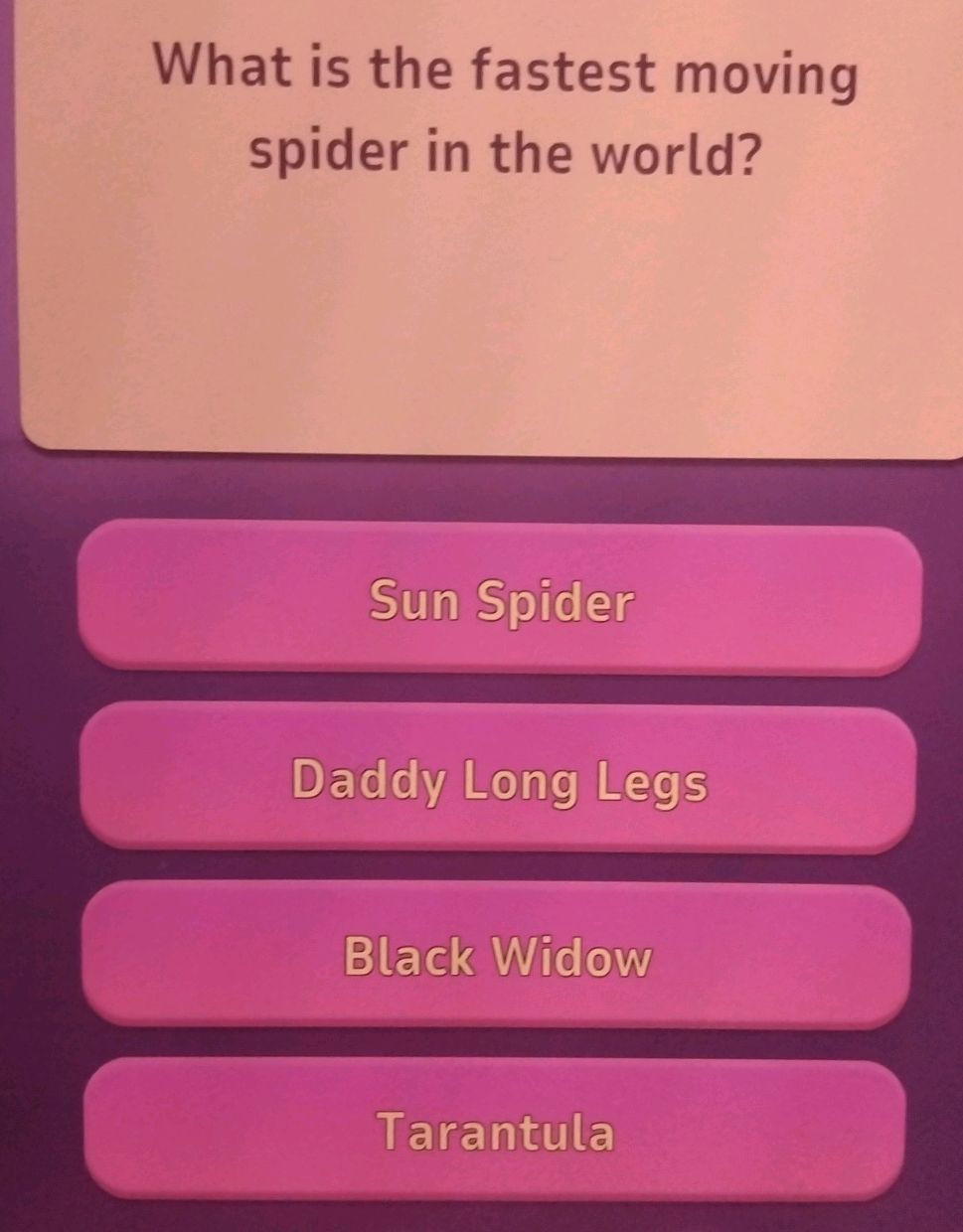 What is the fastest moving spider in the | StudyX