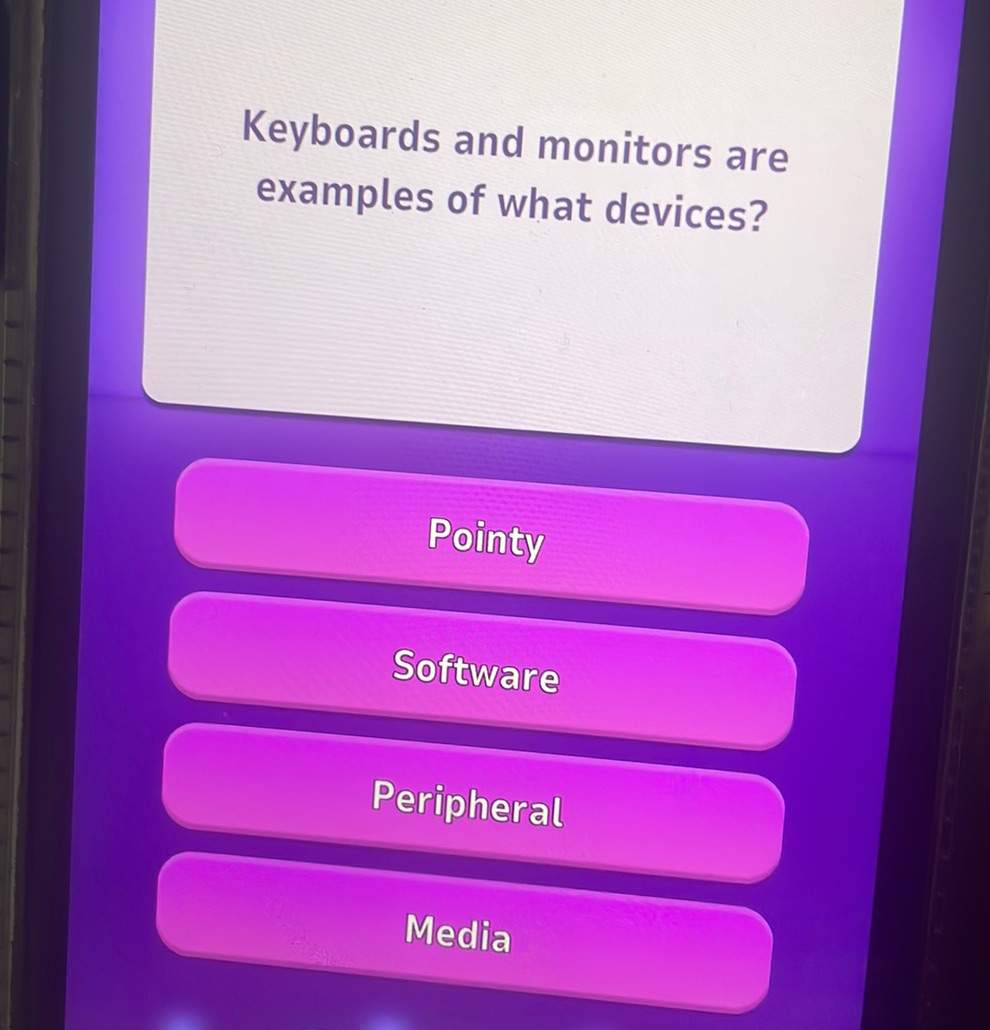 Keyboards and monitors are examples of what