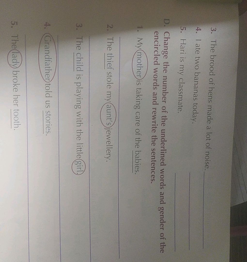 D. Change the number of the underlined words | StudyX