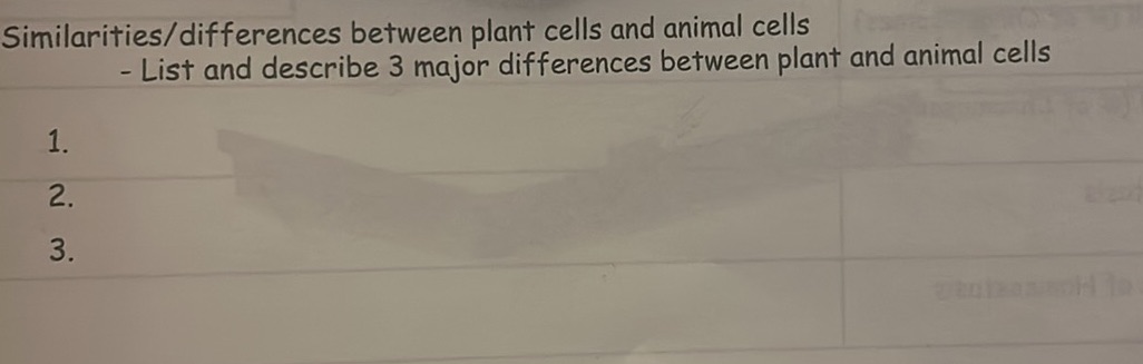 Similarities/differences between plant cells | StudyX