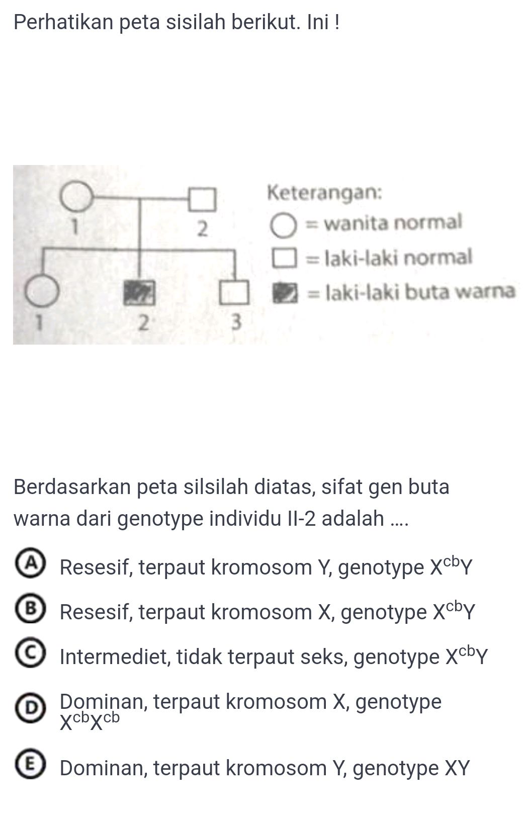 Perhatikan peta silsilah berikut. Ini ! | StudyX
