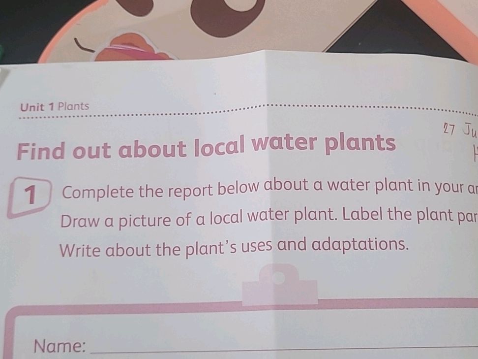 Complete the report below about a water | StudyX