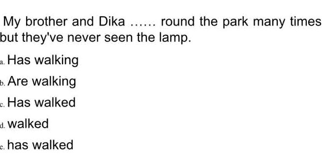 My brother and Dika ...... round the park | StudyX